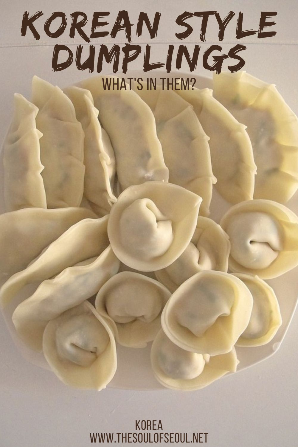 Korean Cooking: How to make Korean dumplings – The Soul of Seoul
