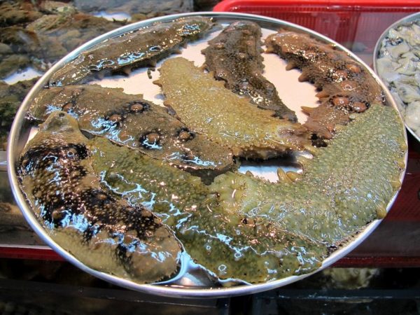 Jagalchi Market In Busan: How To Get There & What To Eat! – The Soul of ...