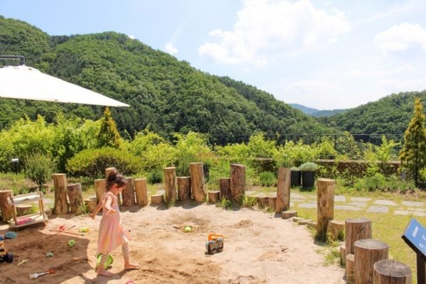 Korea In June: The Weather, Tips From A Local, Flowers and Things To Do ...