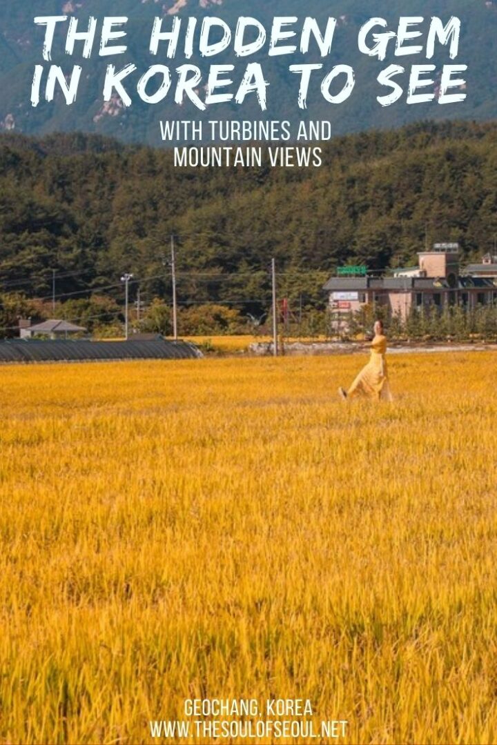 Geochang, Gyeongsangnam-do: A Guide To This Hidden Gem In Korea – The ...