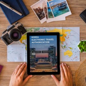 Best Instant Tteokbokki: Where To Buy It and How To Make It – The Soul of Seoul