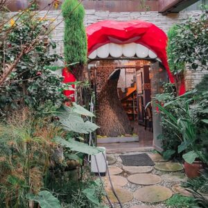 Butter Shop: One Of The Cutest Stores In Myeongdong – The Soul of Seoul