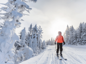 The Best Ski Resorts In South Korea: How To Hit The Slopes – The Soul ...