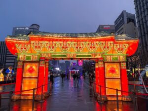 Korea In December: The Weather, Travel Tips, Flowers and Things To Do ...