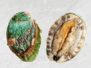 How To Eat Abalone: 7 Korean Ways To Try It in Wando – The Soul of Seoul